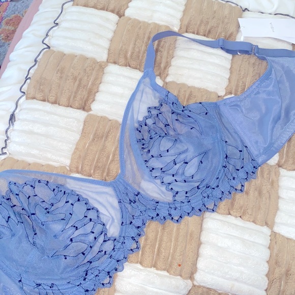 Hsia | Intimates & Sleepwear | New With Tags Beautiful Periwinkle Sheer ...